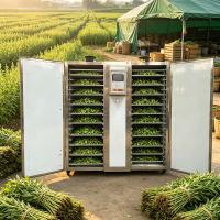 China Customized Vegetable Dehydration Machine Green Leafy Vegetable and Pumpkin Drying Oven for sale