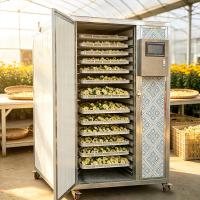 China Customized Large Capacity CassavaTray Dryer Industrial Ginger Garlic Dehydration Machine Fish Drying Oven for sale