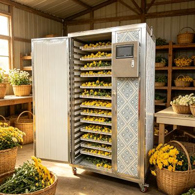 China Industrial Single Phase Fruit and Vegetable Processing Equipment Orange Mango Banana Drying Oven for sale