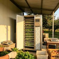 China Low Energy Consumption Heat Pump Tea Dehydration Equipment Peppermint Chamomile Drying Oven for sale