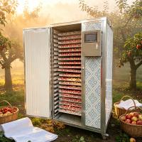 China Industrial Single Phase Fruit and Vegetable Processing Equipment Orange Mango Banana Drying Oven for sale