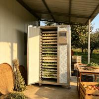 China Commercial Food Dehydrator Automatic Tropical Fruit Dehydrator Mango Lychee Banana Fig Pineapple Guava Dehydrator for sale