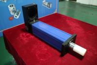 China Best Seller 220V Al Profile Standard Linear Actuator In Stock , Match With Servo Motor for sale