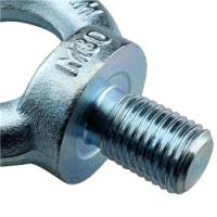 China 304 Stainless Steel Full Thread Ring Lifting Eye Bolt DIN 580 For Lifting Hardware for sale