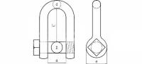 China Galvanized CE Forged Pin Bow D Square Head Screw Pin Trawling Shackles for sale