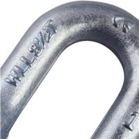 China Stainless Steel US Type Bolt Chain Shackles G-2150 Marine Hardware Fittings for sale