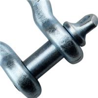 China Rigging Electric Galvanized G-209 Screw Pin Anchor Shackle OEM for sale