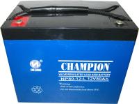 China Champion Long Life Design VRLA Battery 12V100AH 12V80AH Lead Acid battery manufacture for sale