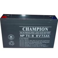 China Champion Lead Acid Battery 6V10AH Toy battery 6V12AH storage emergency lighting battery for sale