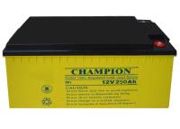 China China Champion Battery  12V 250AH NP250-12-G Sealed Lead Acid GEL Battery, Solar Battery, Deep Cycle Battery for sale