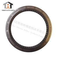 China Customize Oil Seal 145*175*27 Mm OEM 145X175X27 Double Lips For Mercedes for sale