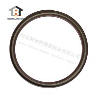 China TC Truck Oil Seal 175*200*12 Mm OE No.3104055 AOE Rear Wheel for sale
