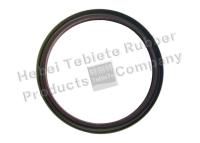 China 31N-04080 43090-90060 Rear Wheel Oil Seal for Dongfeng/Mitsubishi/HINO Truck..TB Oil Seal 153*175*13mm for sale
