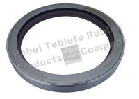 China Benz Front Oil Seal130*160*18mm. Surface iron, Add Iron buckle. High quality. hot Deals products.OEM Service.IATF16949 for sale