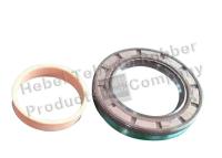 China TC 42X65X10 ,  42*65*10 NBR Oil Seals,  Automotive Seals, Rubber parts, Oil Seals     Material: NBR,PTFE for sale