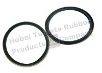 China Dongfeng Rear Wheel Oil Seal 160*180*14mm.NBR Material. Grease Oil Seal Rear Wheel Oil Seal OEM r High Precision for sale