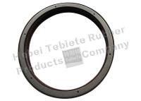 China Wheel Rubber Oil Seal Corrosion Resistance 190*220*16mm Standard IATF16949 for sale