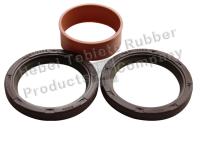 China Heat Resistant Rubber Oil Seal Plastic Support 55*72*8mm Good Sealing Performance for Scania for sale