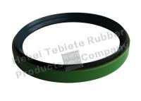 China 1678039  Oil Seal 145x170x15/20mm For Scania Truck Surrface Iron With Dust Layer for sale