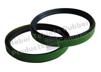 China 1678039  Oil Seal 145x170x15/20mm For Scania Truck Surrface Iron With Dust Layer for sale