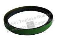 China 1678039  Oil Seal 145x170x15/20mm For Scania Truck Surrface Iron With Dust Layer for sale