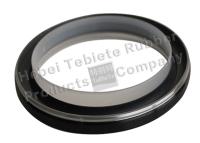 China OEM 366303 Heavy Truck Rubber Oil Seal Oil Resistant Temperature Resistant Durable Oil Seal 130x160x13mm for sale