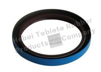 China High Temperature Resistant Rubber Oil Seal 80x100x12mm Surrface Iron TB Oil Seal  FKM FPM Material for sale