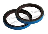 China High Temperature Resistant Rubber Oil Seal 80x100x12mm Surrface Iron TB Oil Seal  FKM FPM Material for sale