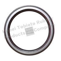 China 100*120*12mm FAST Transmission Oil Seal for sale