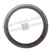 China 100*120*12mm FAST Transmission Oil Seal for sale