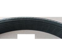 China OEM 3015259 Multi Wedge Belt For MITSUBISHI 8PK1645 for sale
