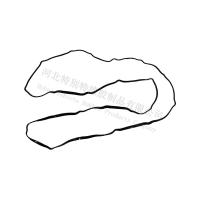 China OEM 5801625924 NBR Valve Cover Gasket Set For SAIK Truck C11 for sale