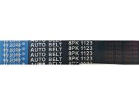 China Truck Spare Parts Multi Wedge Belt 8pk1123 V Ribbed Belt 1001044853 for sale
