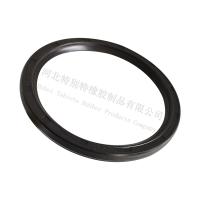 China 95.25x114.5x8 95.25x114.5x12 Shannxi FAST Gearbox  Oil Seal  C01032+19109 for sale