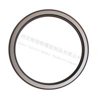 China DZ9112340227 Shancman Truck Rear Wheel Hub Oil Seal 190x220x22 Double Lip Oil Seal for sale