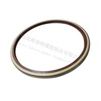 China OEM 0109973046 Oil Seal TB Type For Yutong Bus 160x180x11/10 for sale