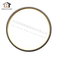China 3953200067 Mercedes BENZ Axle Stub Seal Ring Blance Shaft Oil Seal 200x218x10 for sale