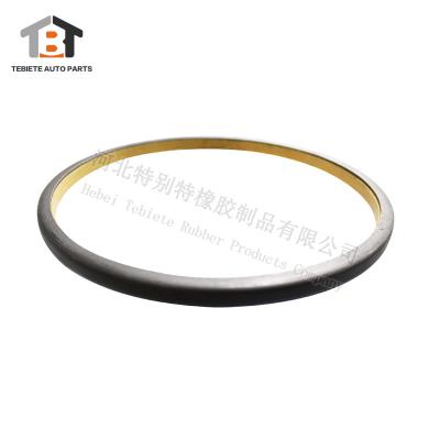 China 3953200067 Mercedes BENZ Axle Stub Seal Ring Blance Shaft Oil Seal 200x218x10 for sale