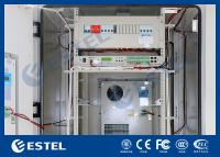 China IP65 Insulated Outdoor Telecom Enclosure With DC48V Cooling System / Base Station Cabinet for sale