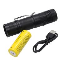 China TED Torch 650lm Mini Flashlight USB Rechargeable 2000mAh Small EDC Light for sale