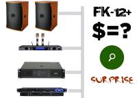 China 2 Channel Business VIP 500W Digital Karaoke Power Amplifier for sale