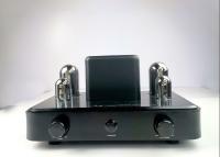 China USB SD APE WAV 2 Channel Mini Tube Amplifier for sale