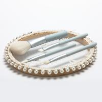 China White PBT Hair Mini Makeup Brush Set 4pcs For Travel Plastic Handle for sale