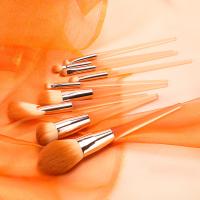 China PBT Hair Top Makeup Brush Gift Set With Triangle Shaped Frosted Plastic Handle for sale