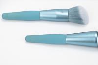 China Matte PBT Hair 5pcs Makeup Brush Set Mini Travel Makeup Brush Set for sale
