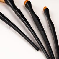 China 5pcs Boneybeauty Plastic Handle  Face Makeup Brush Set Anti Bac Long Lasting for sale
