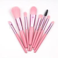 China Anti Bac 8 Piece Makeup Brush Set  PBT Hair Travel Makeup Brush Set for sale