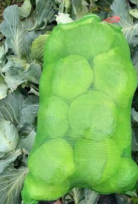 China Green PP Mesh Netting Bags For Corn Plastic Drawstring Packing Cabbage for sale
