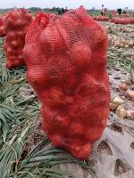 China PP Drawstring Mesh Netting Bags Vegetables Packing Onion Potatoes for sale