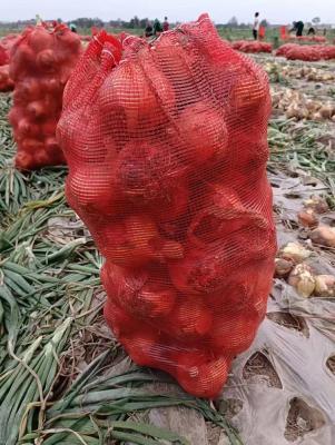 China PP Drawstring Mesh Netting Bags Vegetables Packing Onion Potatoes for sale